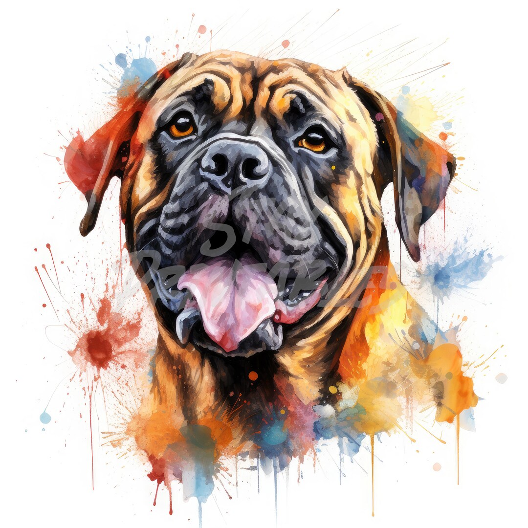 Bullmastiff Pet Dog Clipart - 12 High Quality Jpgs + Bonus Files ...