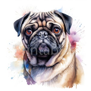 Pug Pet Dog Clipart - 12 High Quality Jpgs + Bonus Files- Digital ...