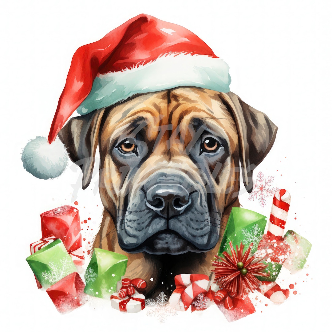 12 Christmas Cane Corso High Quality Jpgs - Best for Card Making, Clip ...