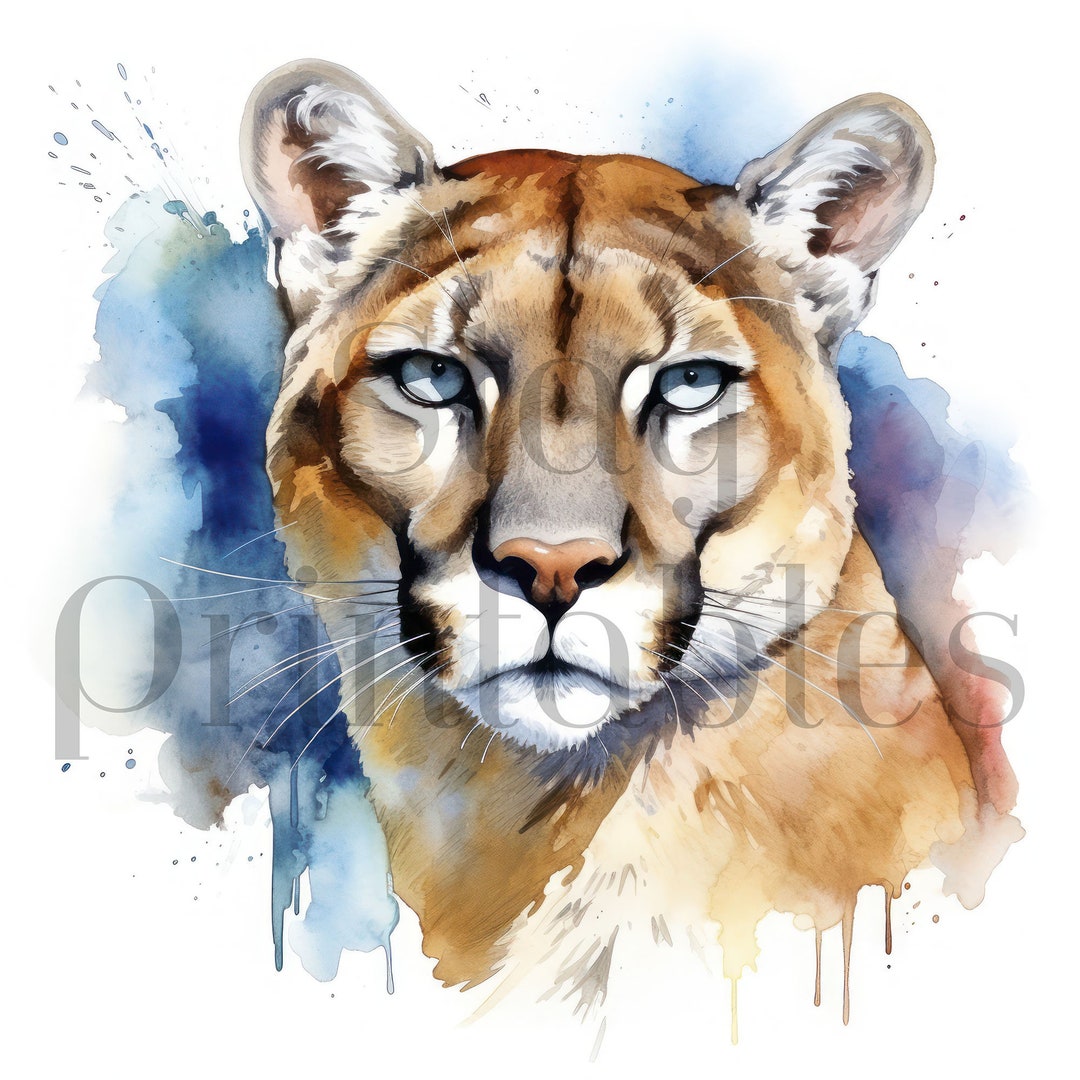 Cougar Wild Life Jungle High Quality Pngs - Best for Card Making, Clip ...