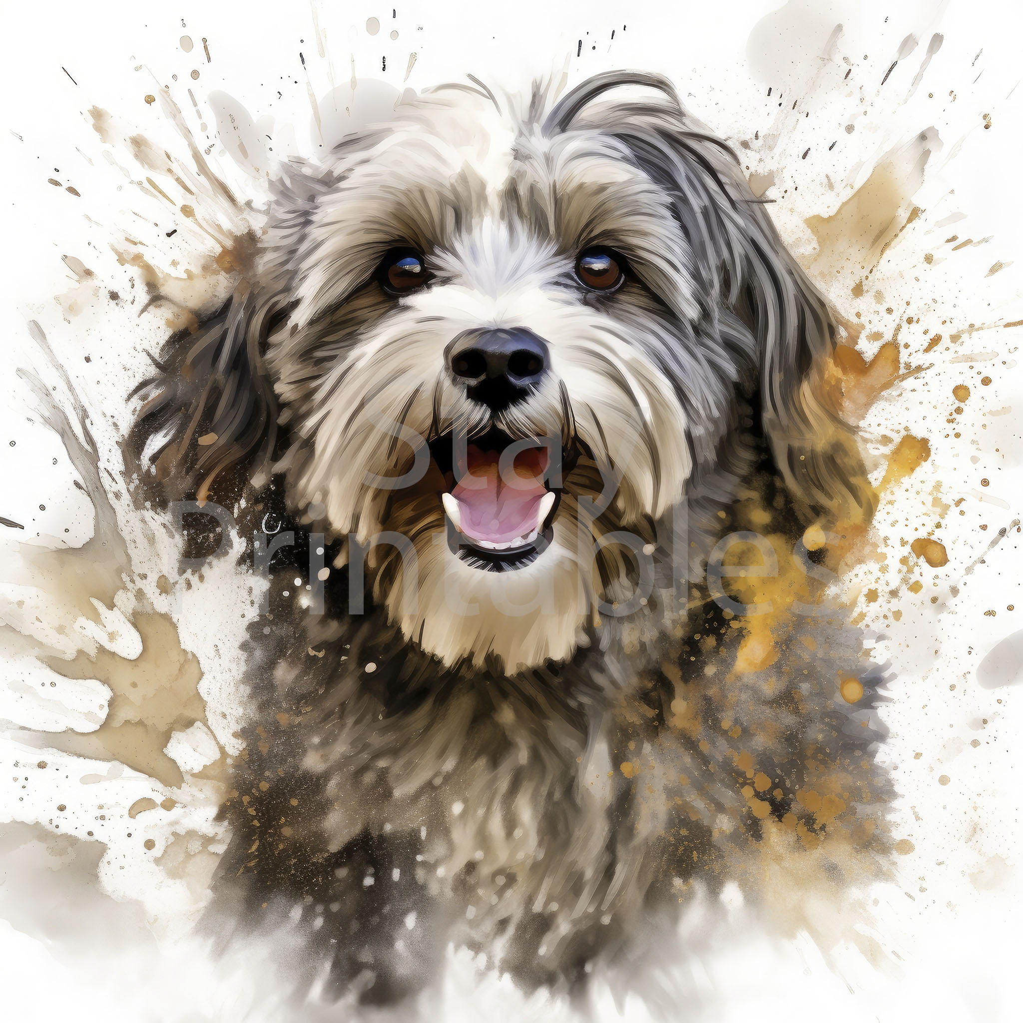 Havanese Pet Dog Clipart 12 High Quality Jpgs Bonus Files Digital ...