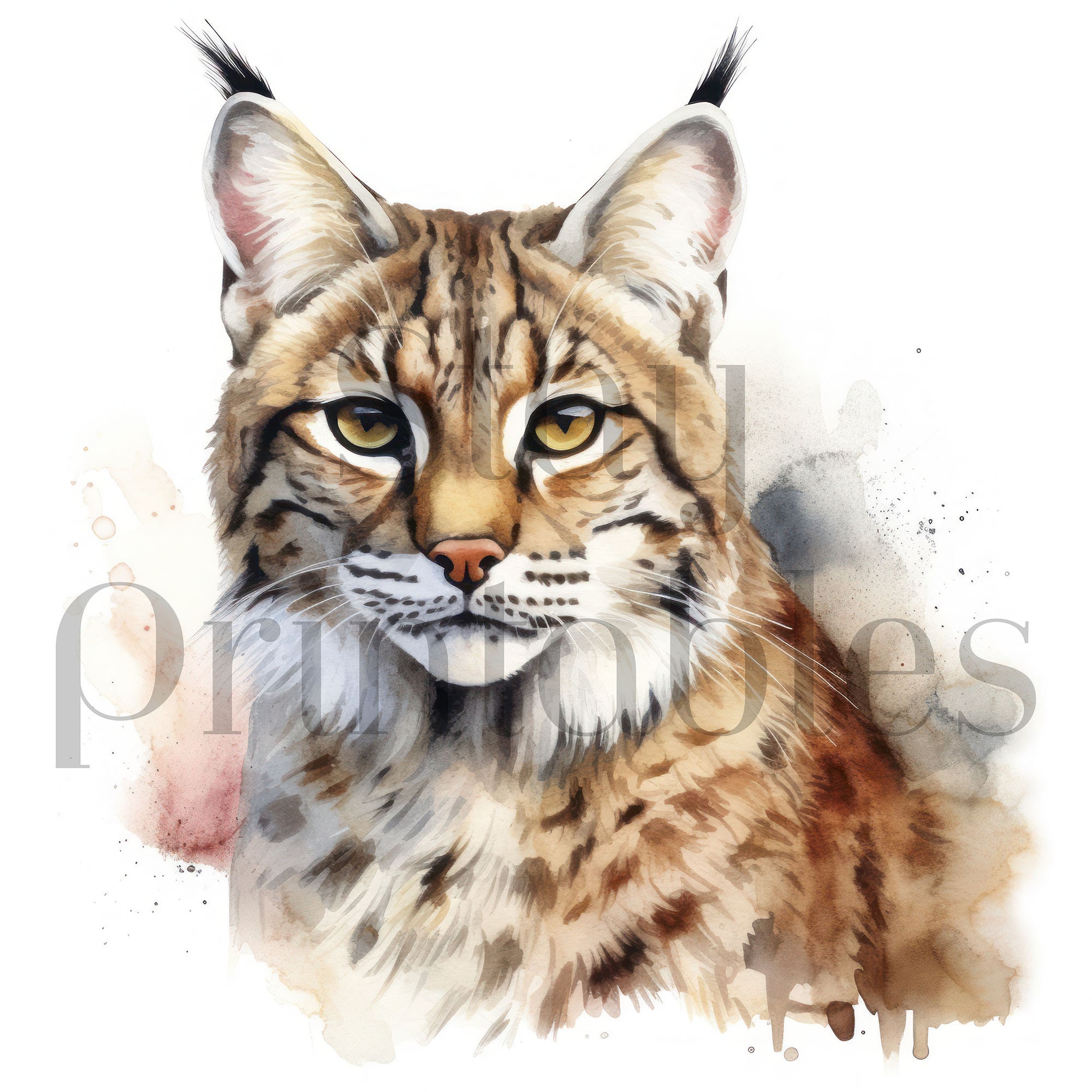 Bobcat Wild Life Jungle High Quality Pngs - Best for Card Making, Clip ...
