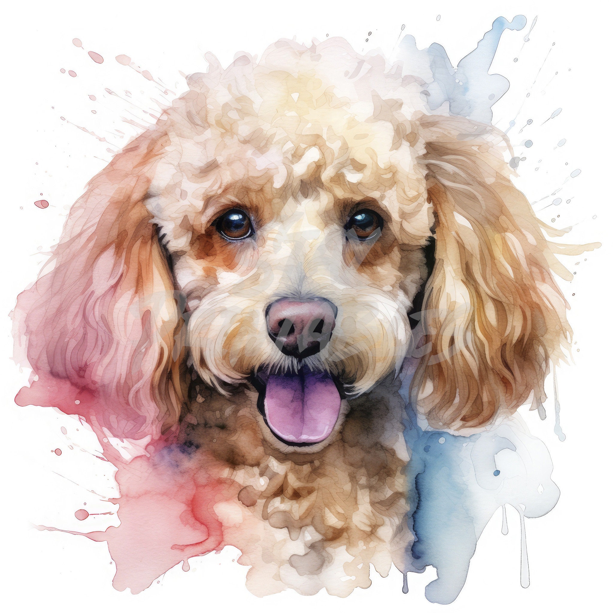 Poodle Clipart - 12 High Quality Jpgs + Bonus Files- Digital Download ...