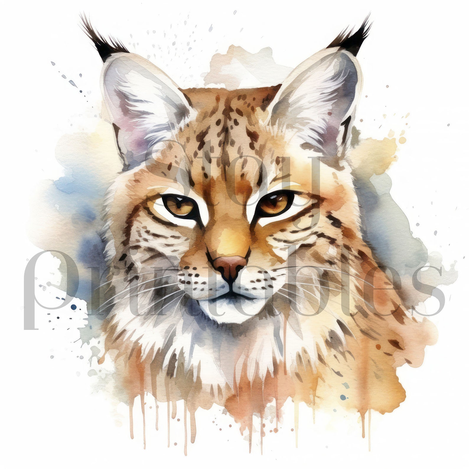 Bobcat Wild Life Jungle High Quality Pngs - Best for Card Making, Clip ...