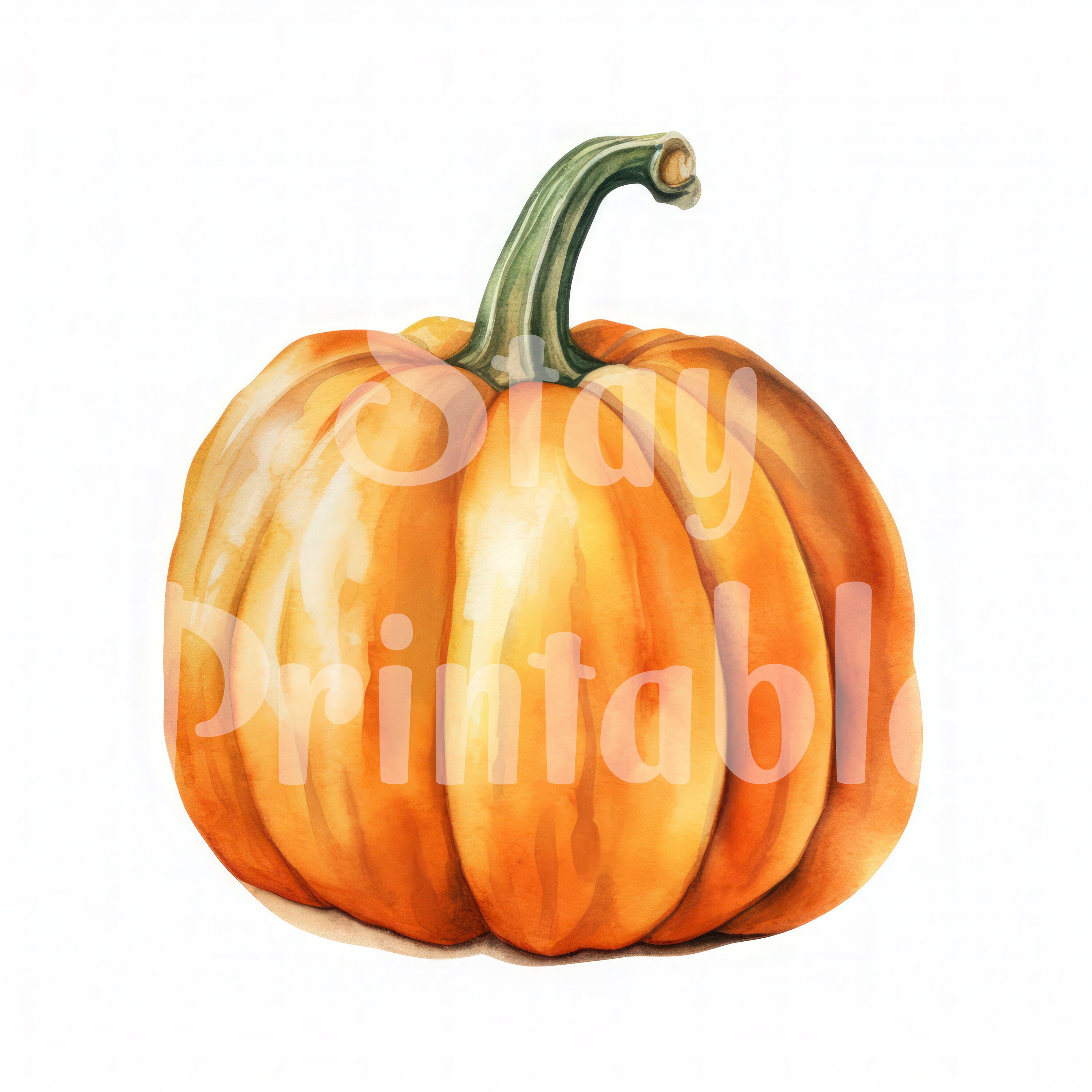 Pumpkin Halloween Sublimation Clipart 12 High Quality Jpgs Bonus Files ...