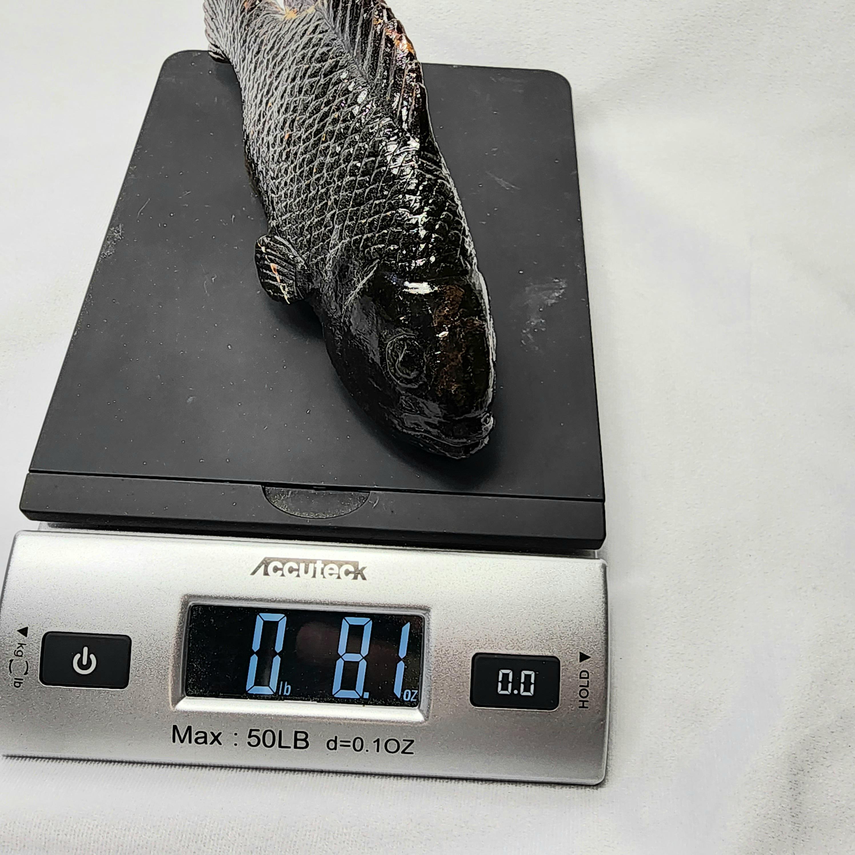 Fancy Amber Fish - Etsy
