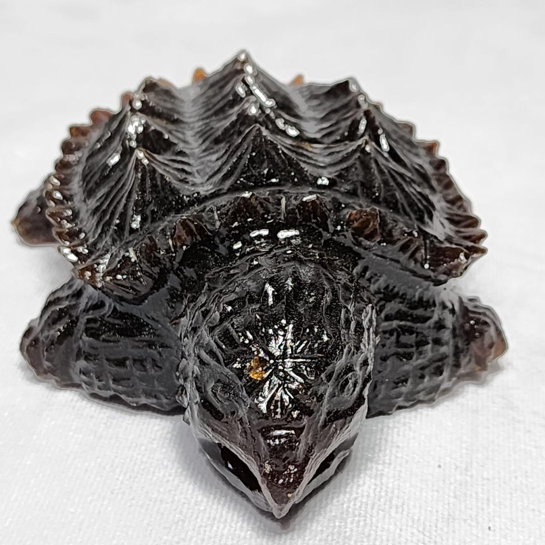 Snazzy Sculpted Snapping Turtle - Etsy