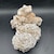 Cinnamon Red Rose Rock - Etsy