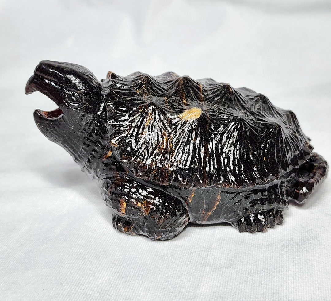Sumatran Amber Snapping Turtle - Etsy