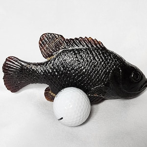 Fancy Amber Fish - Etsy