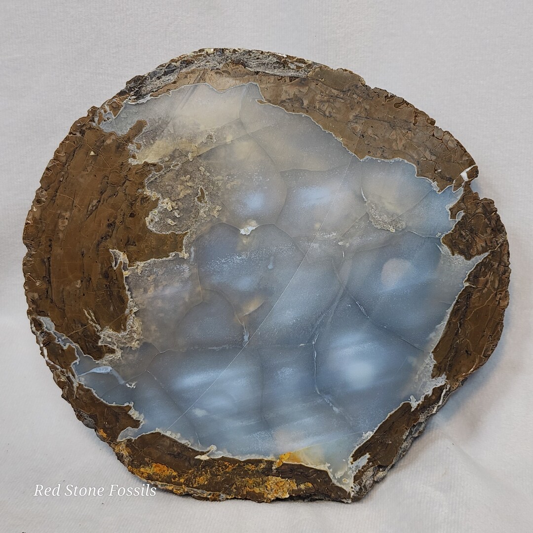 Terrific Thunderegg Slice - Etsy