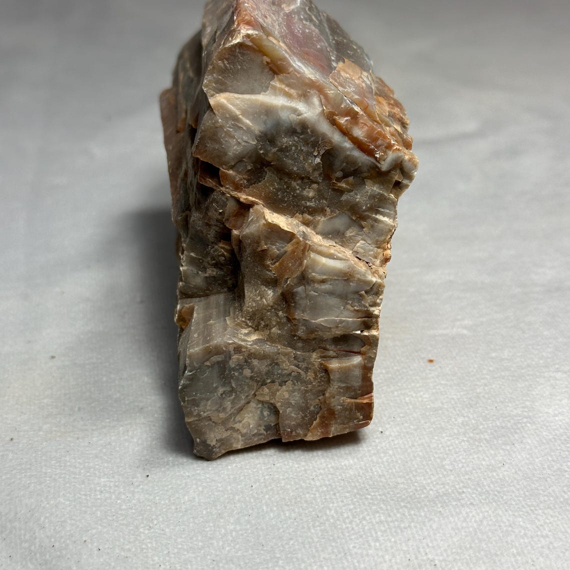 Amazing Arizona Petrified Wood - Etsy