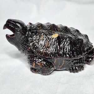 Sumatran Amber Snapping Turtle - Etsy