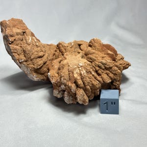 Naturally Formed Rose Rock - Etsy