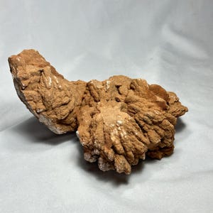 Naturally Formed Rose Rock - Etsy