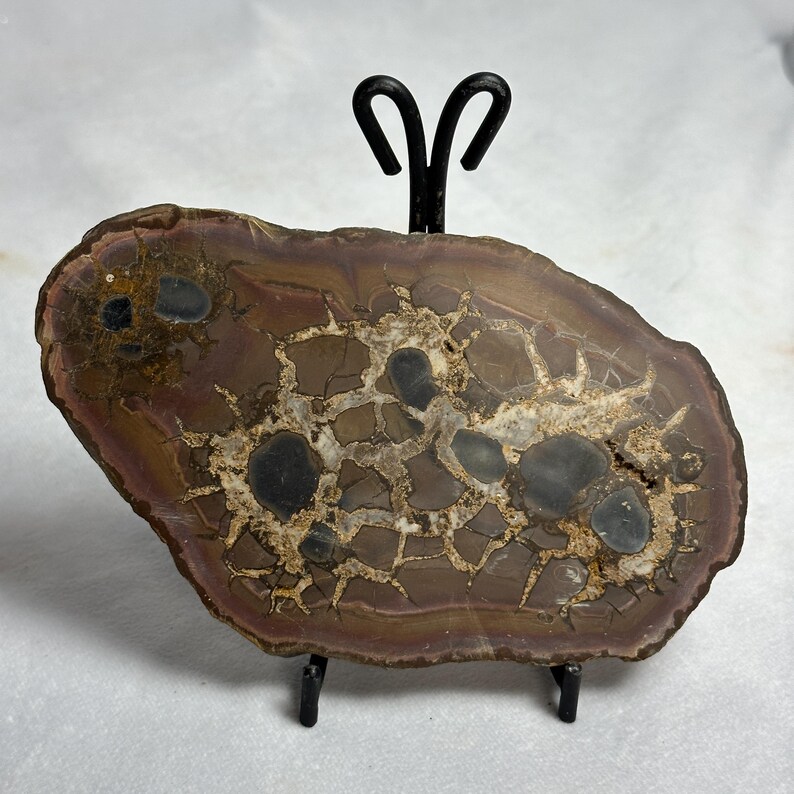 Lovely Split Septarian Nodule - Etsy