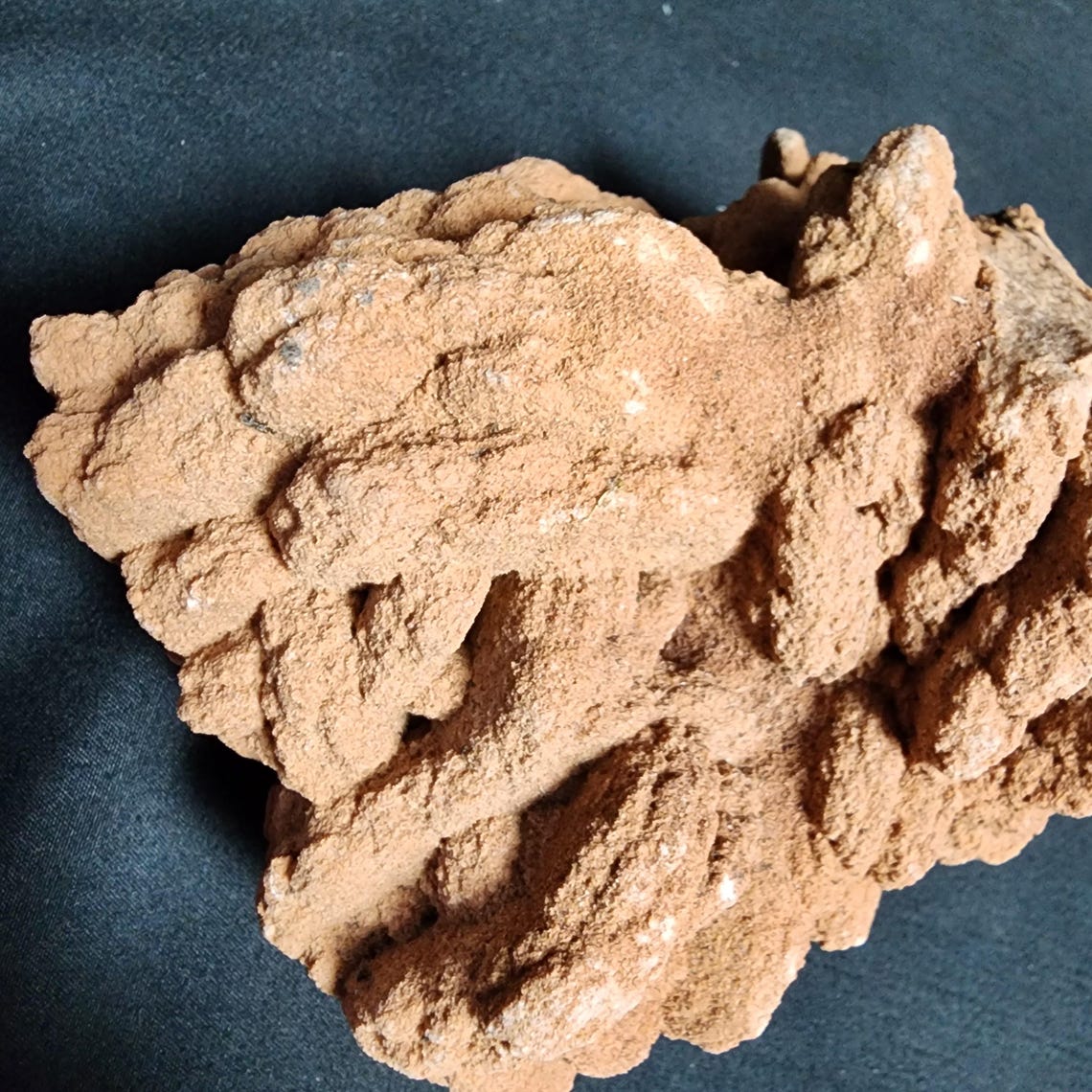 Cinnamon Red Rose Rock - Etsy