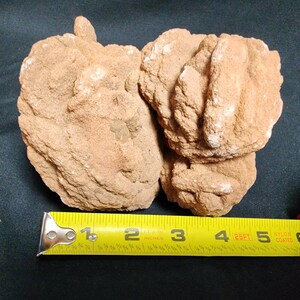 Cinnamon Red Rose Rock - Etsy