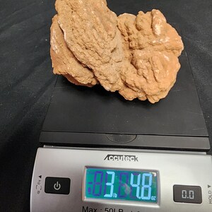 Cinnamon Red Rose Rock - Etsy