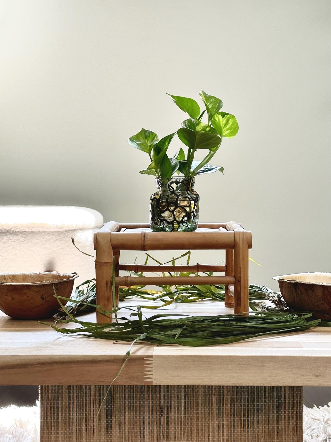 Bamboo Plant Stand | Tortoise Shell Shelf | Tabletop Plant Stand - Etsy