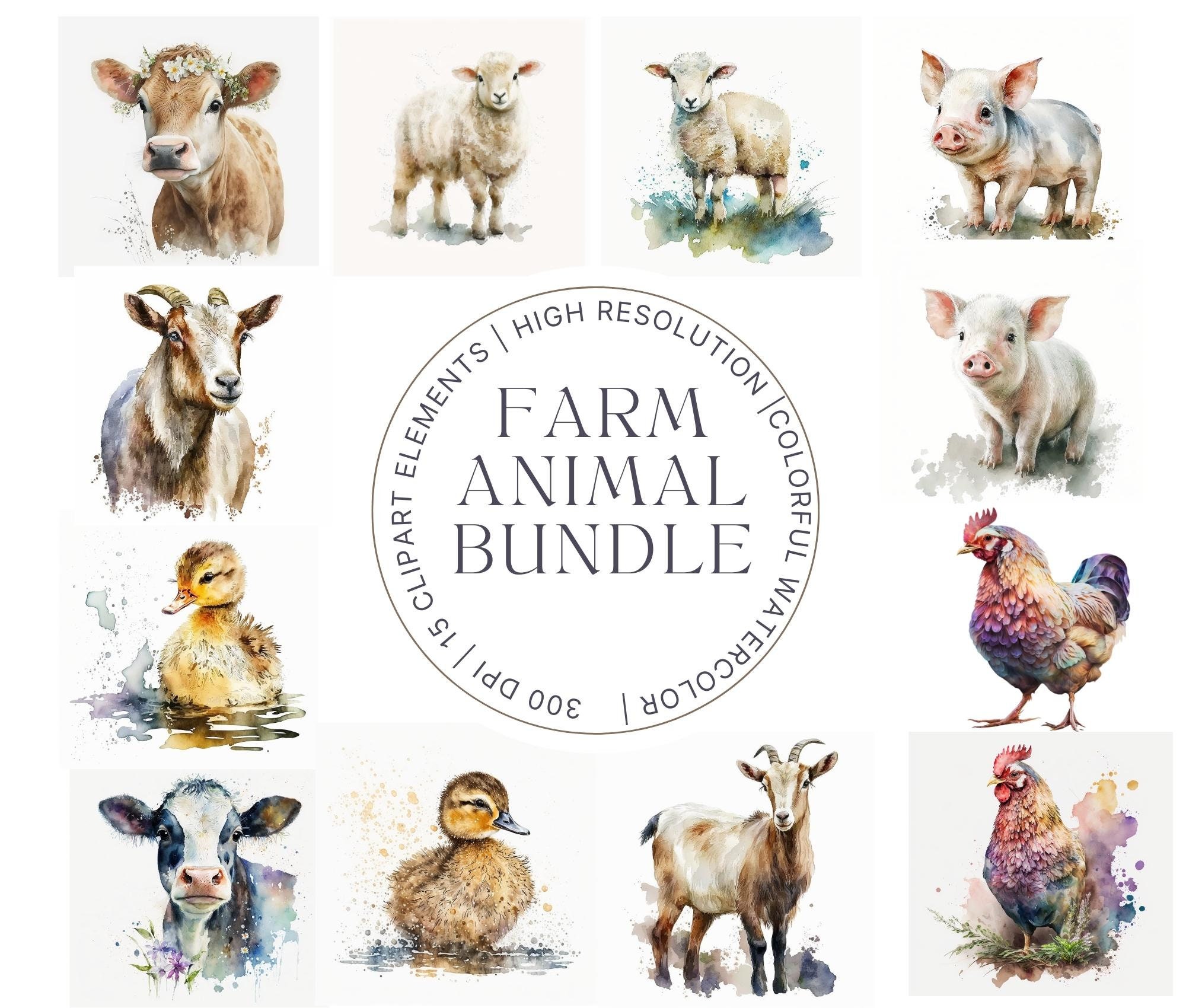 Farm Nursery Decor Farm Animal PNG Farmhouse Clipart Bundle Baby Duck ...