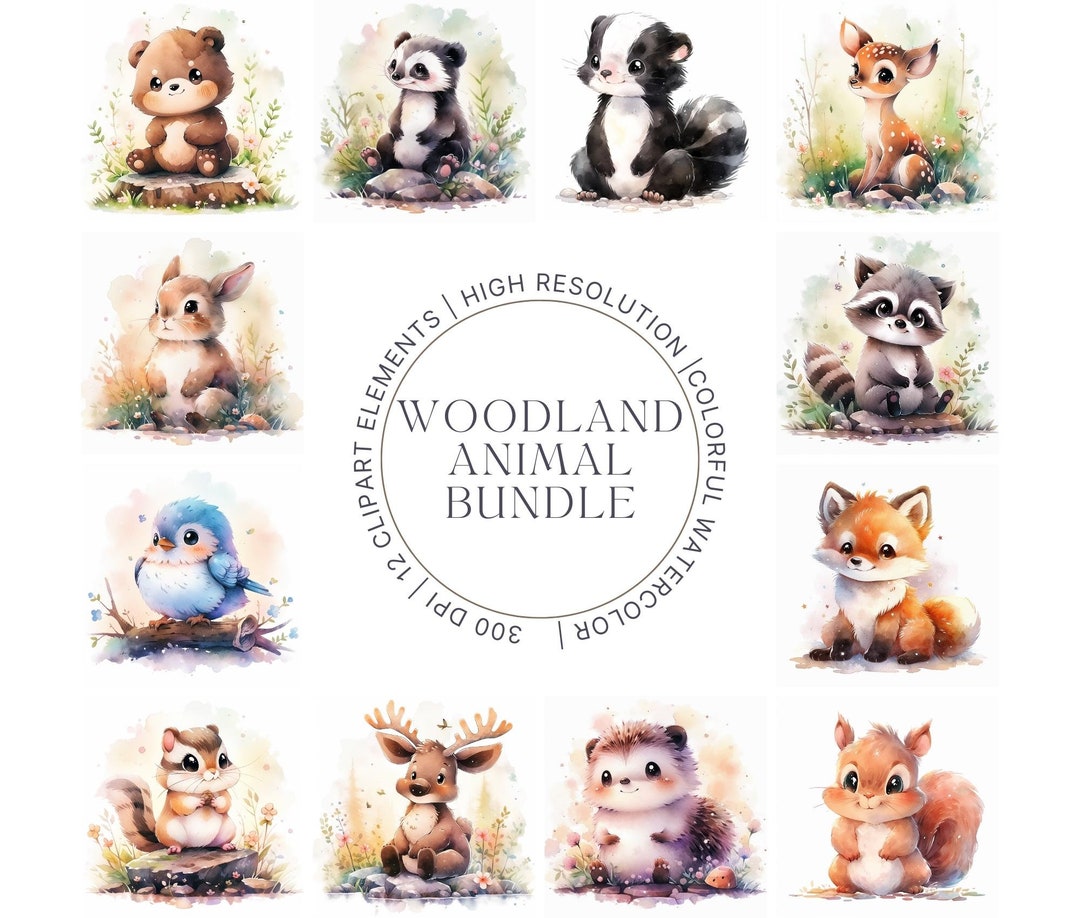 Nursery Wall Art Cute Baby Woodland Creatures Prints Outdoor Nature ...