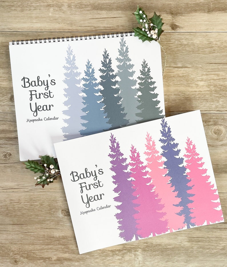 Baby's First Year Calendar: Keepsake Memory Book, Gender Neutral Gift ...