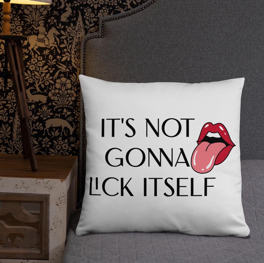 Naughty Pillow Naughty Gift Its Not Going to Lick Itself Sexy Pillow ...