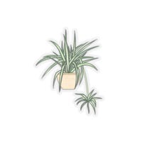 Skull Plant Sticker - Etsy