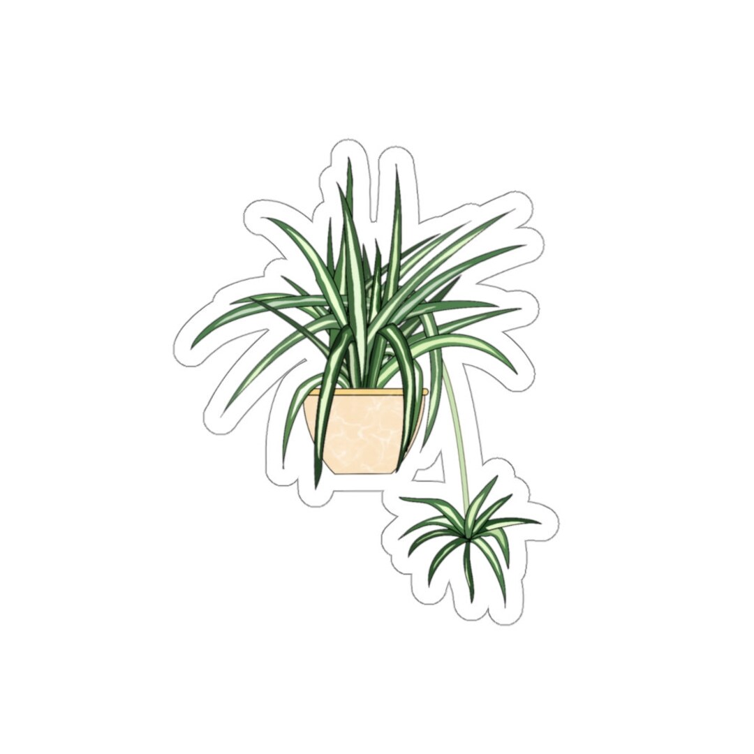 Spider Plant Sticker - Etsy