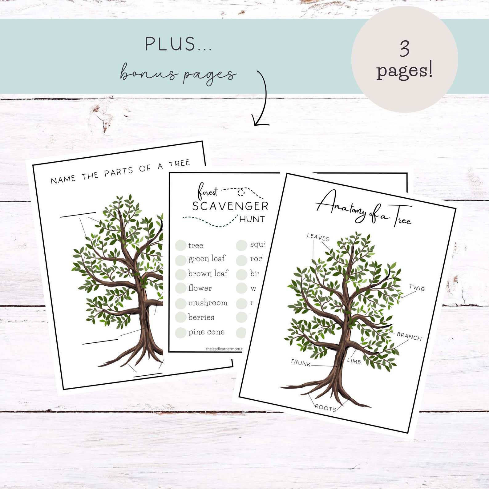 Forest Animals Morning Menu Bundle | Homeschool Calendar Printables ...