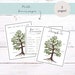 Forest Animals Morning Menu Bundle | Homeschool Calendar Printables ...