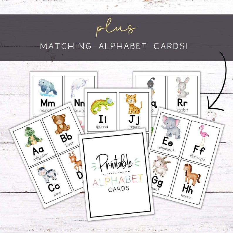 Alphabet Workbook | Letter of the Week | Alphabet Cards - Etsy