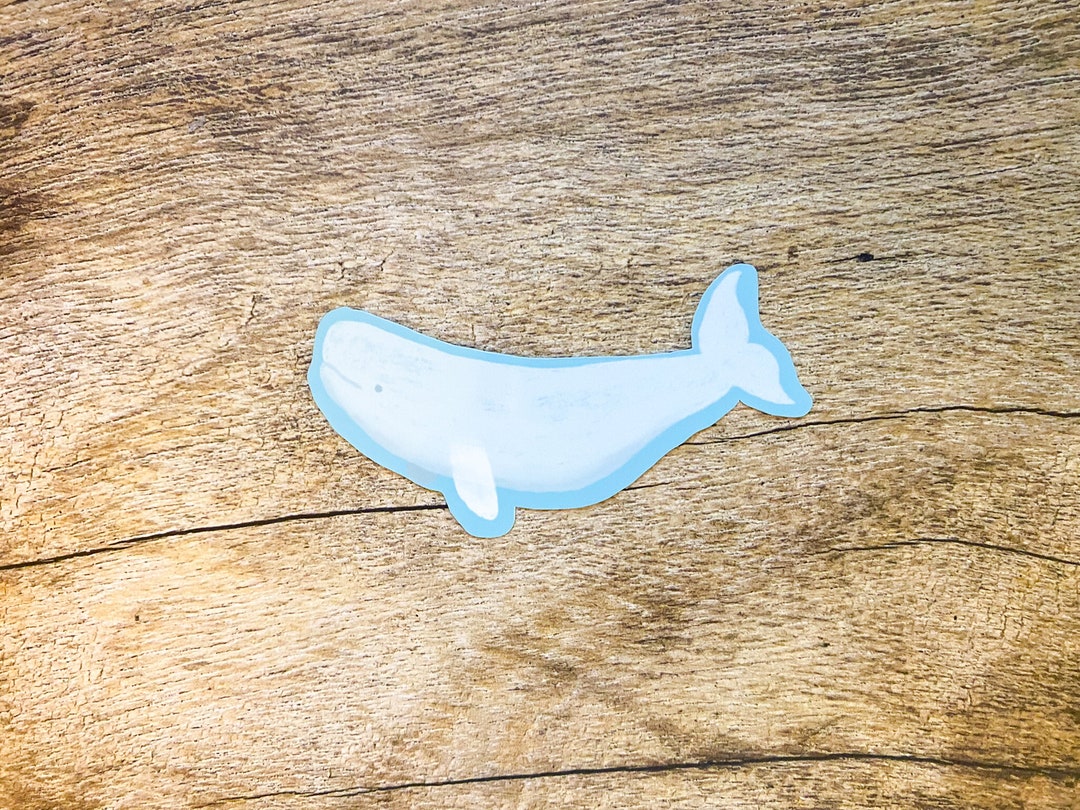 Beluga Whale Waterproof Die Cut Sticker | Beluga Whale Polar Pals ...