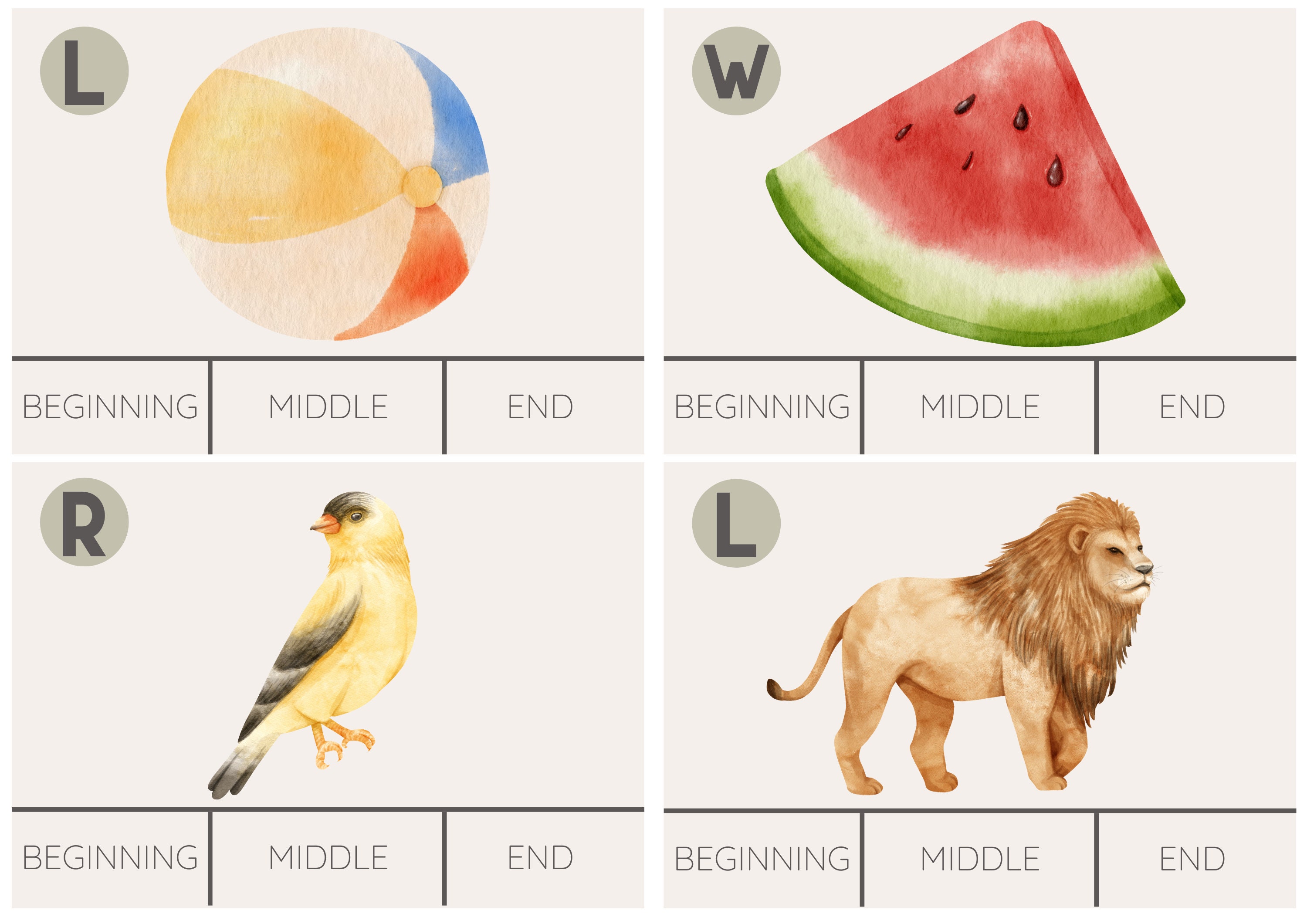 Phonics Flashcards Identifying Beginning Middle and Ending - Etsy