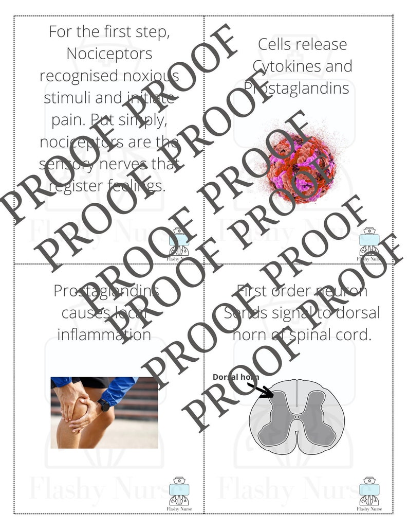 Pathophysiology of Pain Flash Cards | Flashy Nurse | Adult Nursing ...