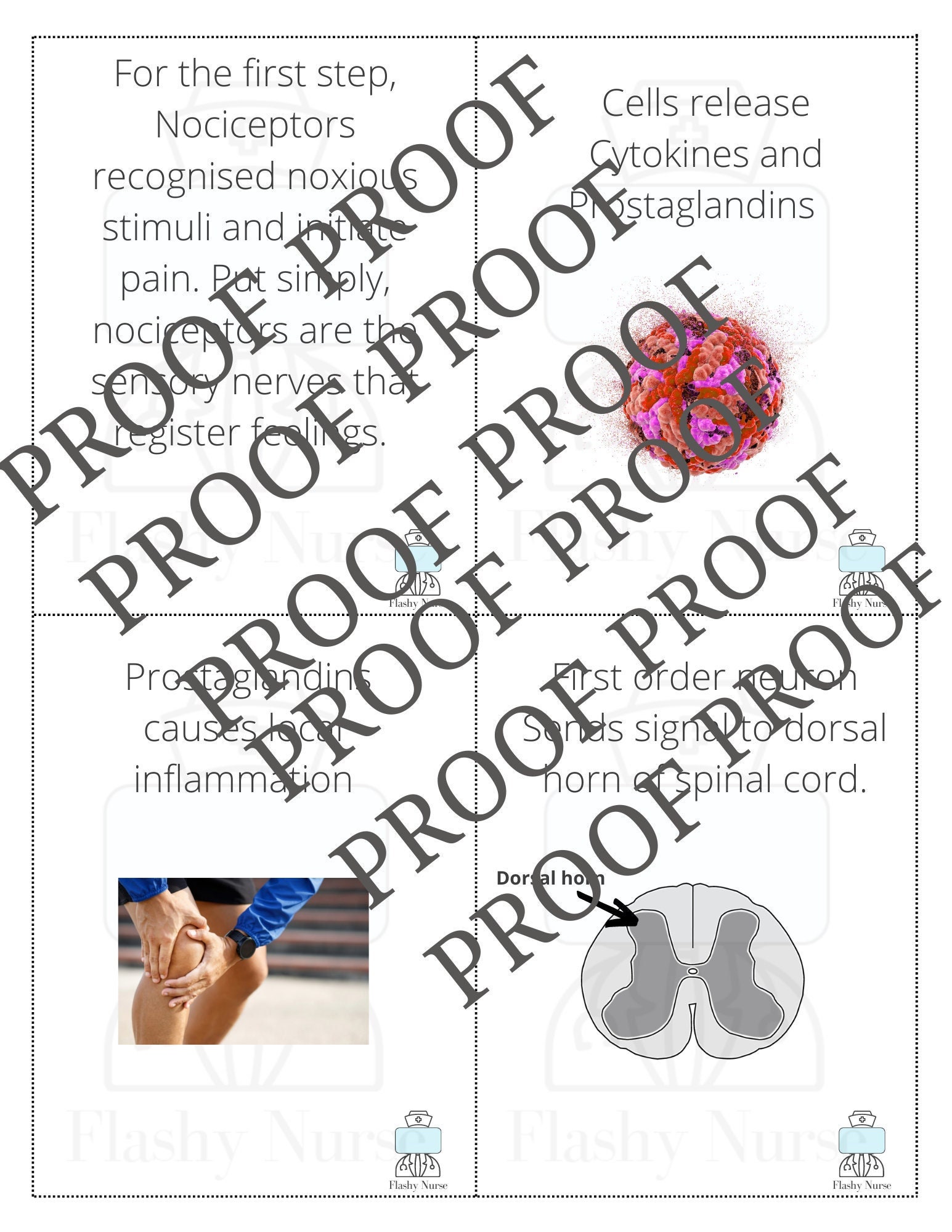Pathophysiology of Pain Flash Cards | Flashy Nurse | Adult Nursing ...
