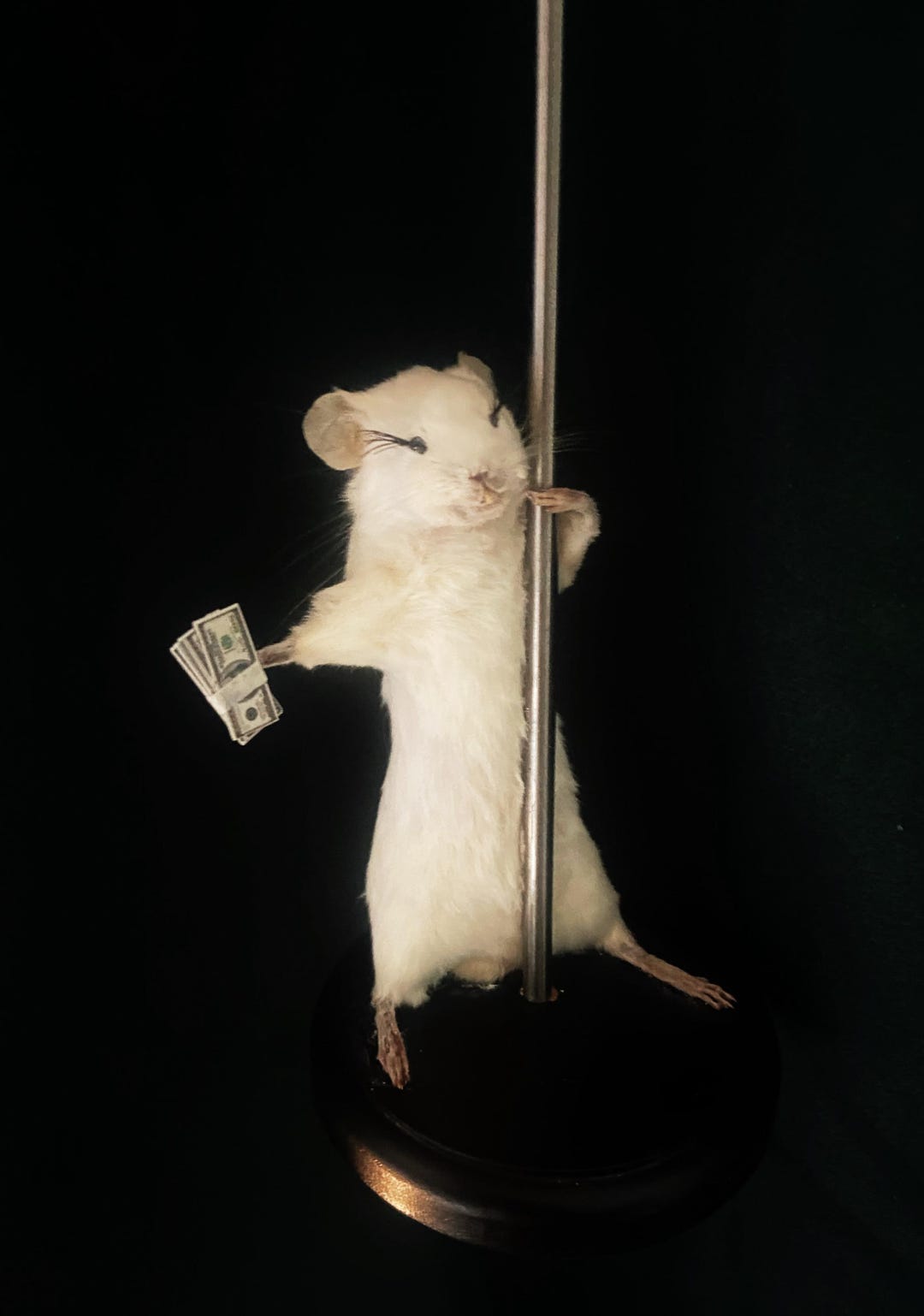 Taxidermy Getting That Money Mouse Pole Dancing - Etsy