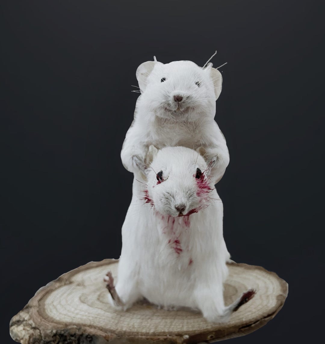 Taxidermy Murder Mouse Gothic Horror Fan Funny Gift Dahmer - Etsy