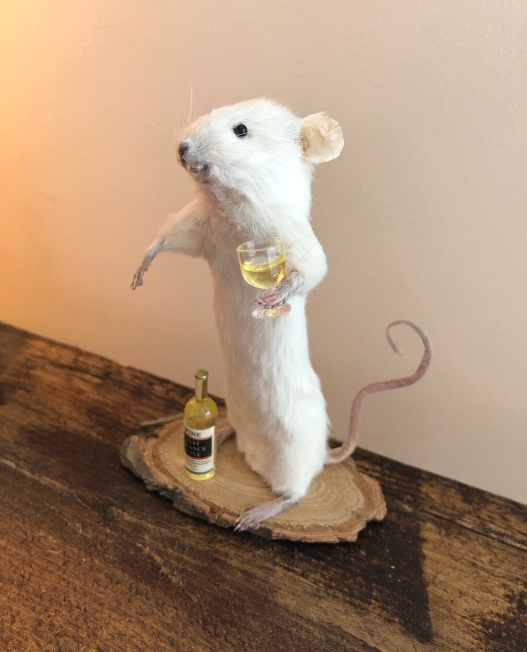 Taxidermy White Wine Mouse Drunk Unusual Gift Wine Lover - Etsy
