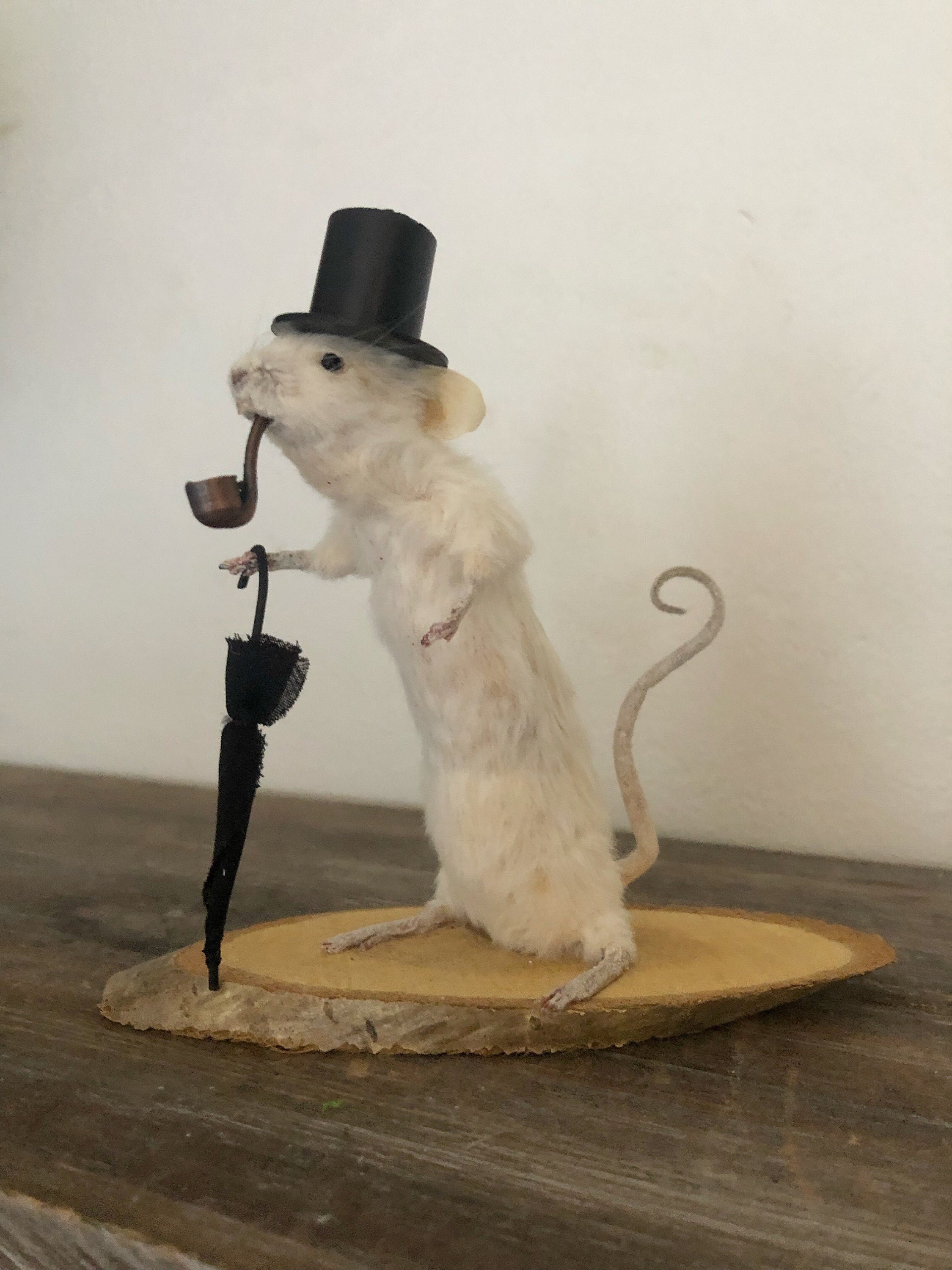 Taxidermy Pipe Smoking Mouse Top Hat Oddities Curiosity Mice - Etsy UK