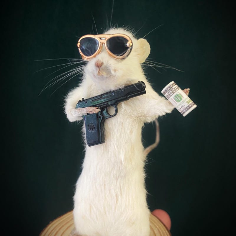 Christmas Rat Decorations - Etsy