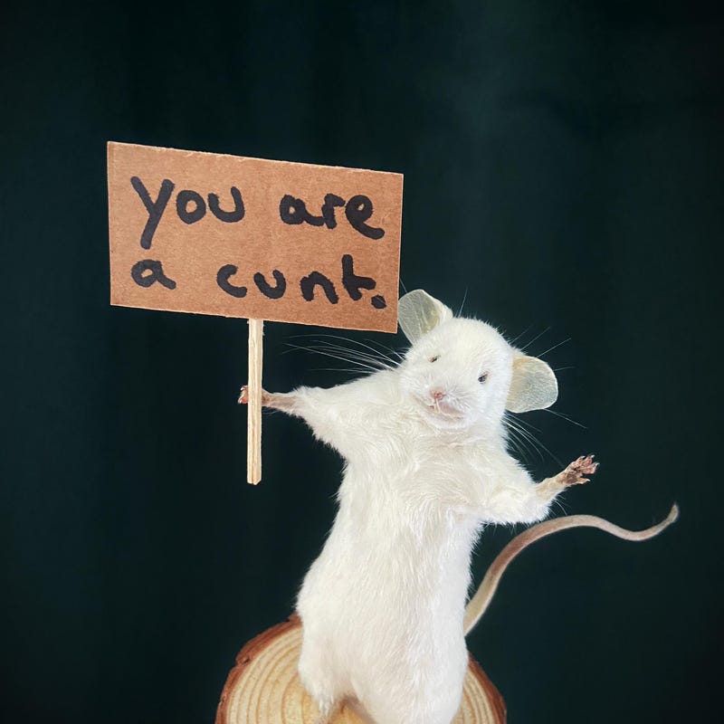 Real Mice Gifts - 60+ Gift Ideas for 2026