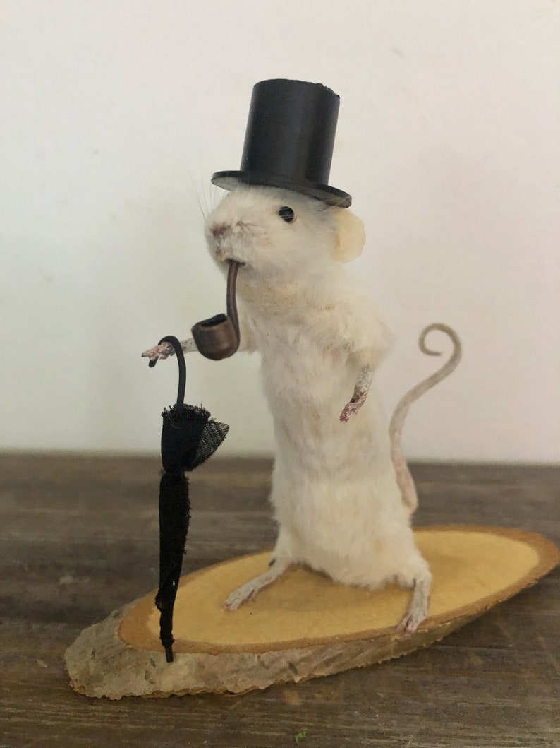 Taxidermy Pipe Smoking Mouse Top Hat Oddities Curiosity Mice - Etsy