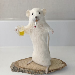 Taxidermy Smoking Drinking Beer Drunk Mouse Funny Gift for Him Her - Etsy