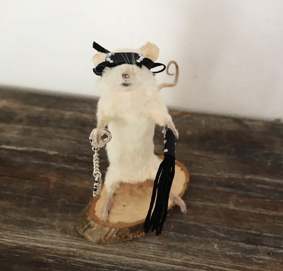 Taxidermy Bondage Bdsm Mouse Funny T Whip Mask Mice Etsy Uk 
