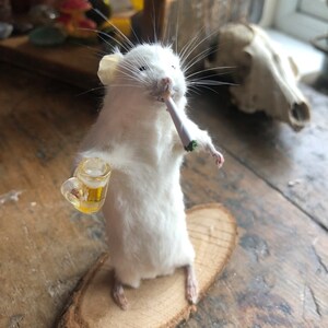 Taxidermy Made to Order Stoner Drunk Mouse Beer Funny Gift Session ...