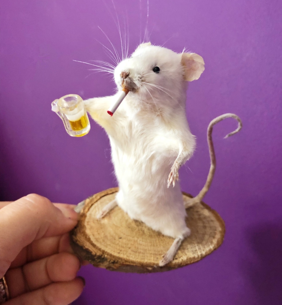 Taxidermy Smoking Drinking Beer Drunk Mouse Funny Gift for Him Her - Etsy
