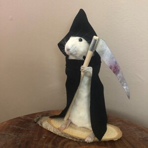 Taxidermy Made to Order Grim Reaper Rat Mouse - Etsy