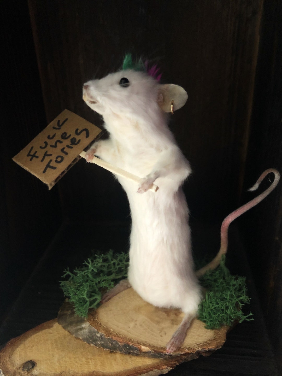 Taxidermy Made to Order Punk Mouse Funny Sign - Etsy